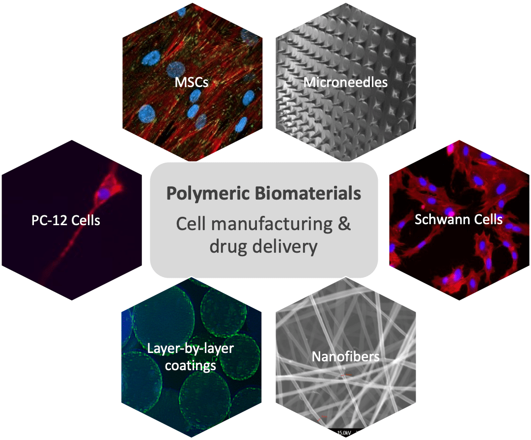 Polymeric Biomaterials Lab – UMBC